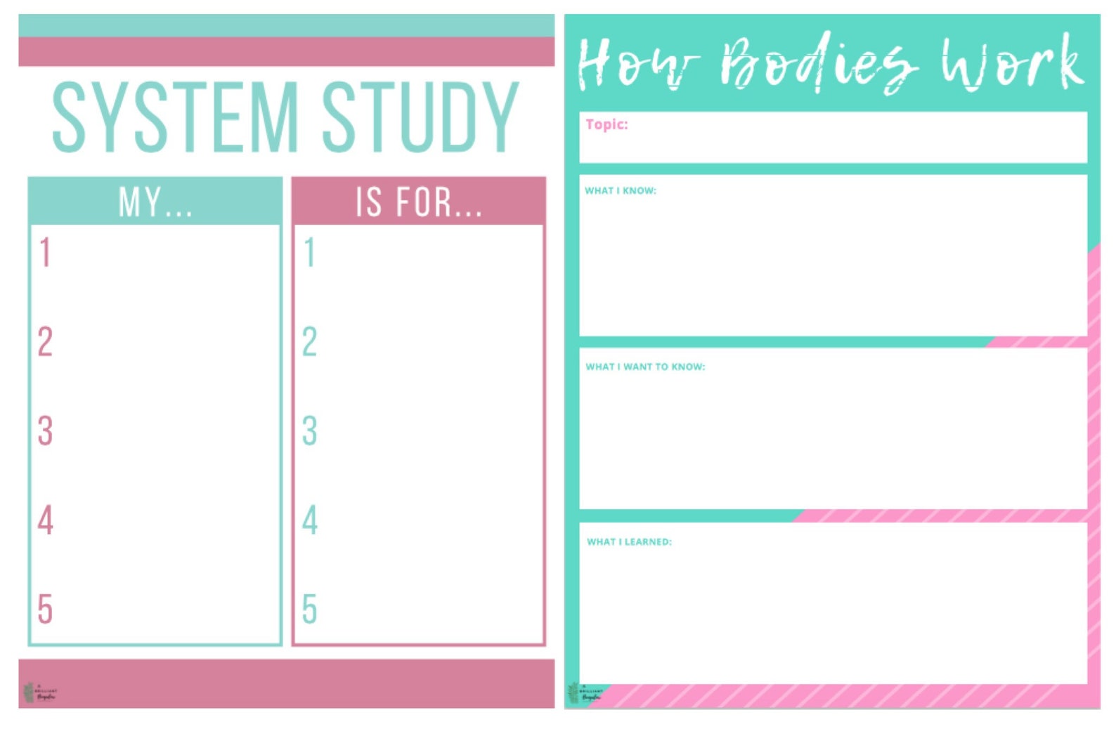 Human Body Unit Study Human Anatomy Activities Printable - Etsy