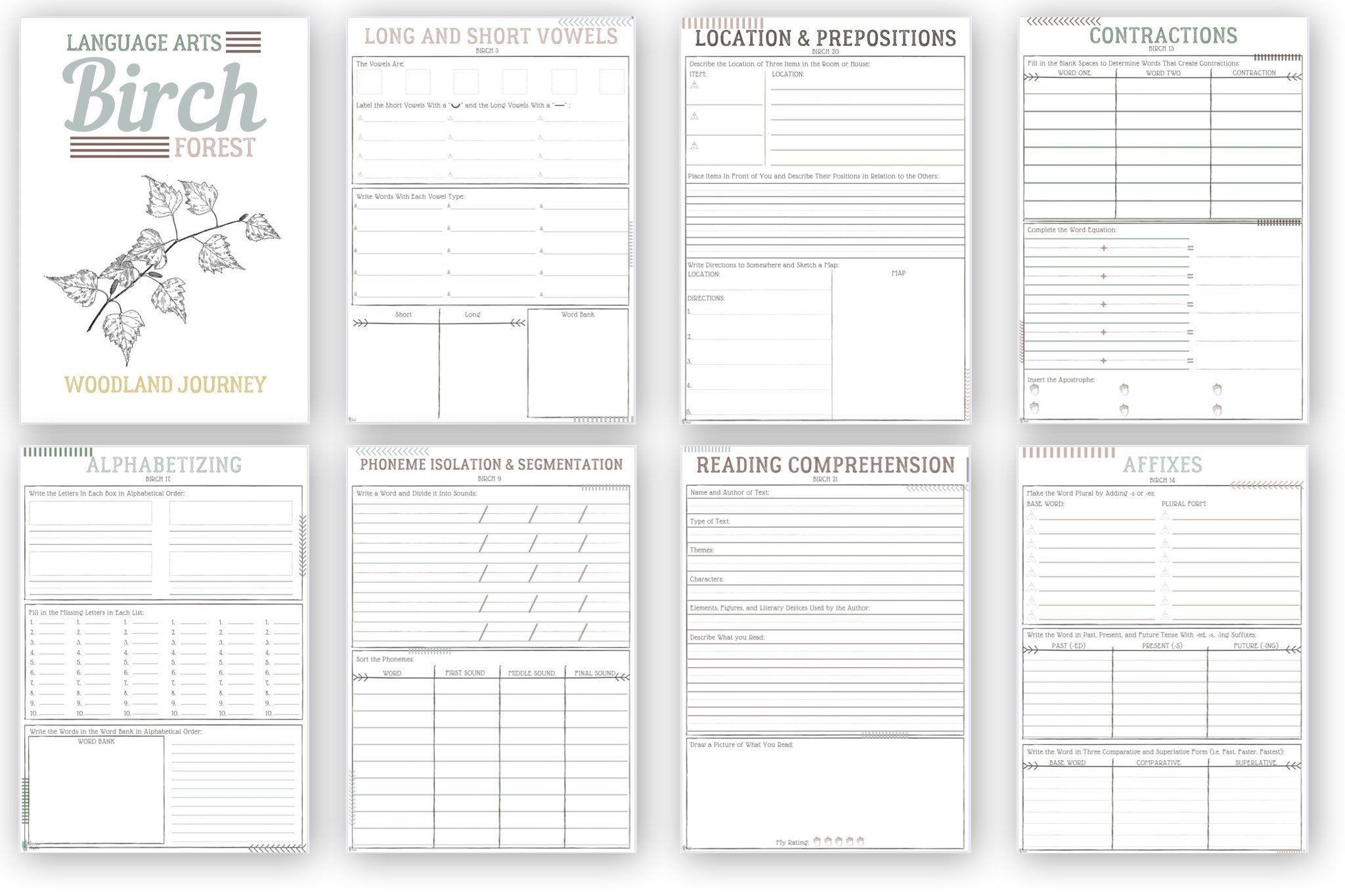 First Grade Homeschool Curriculum DIGITAL EDITION | Forest Ranger ...