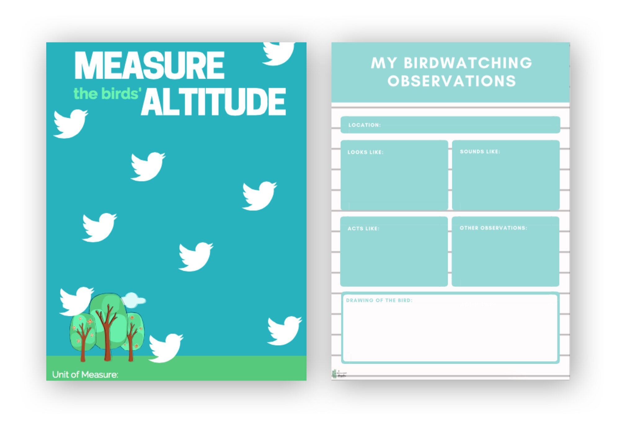 Birds Unit Study | Bird Unit | Printable Homeschool Lesson Plans ...