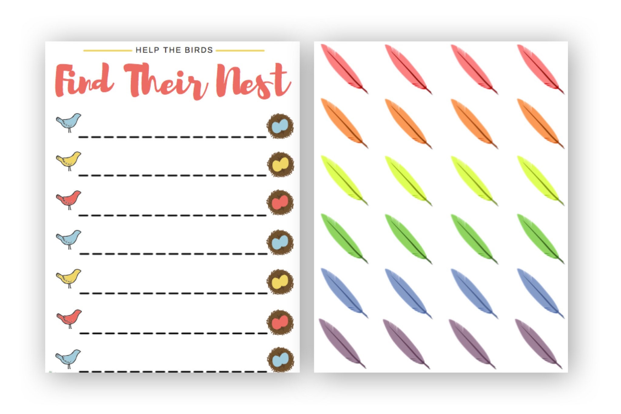 Birds Unit Study Bird Unit Printable Homeschool Lesson - Etsy