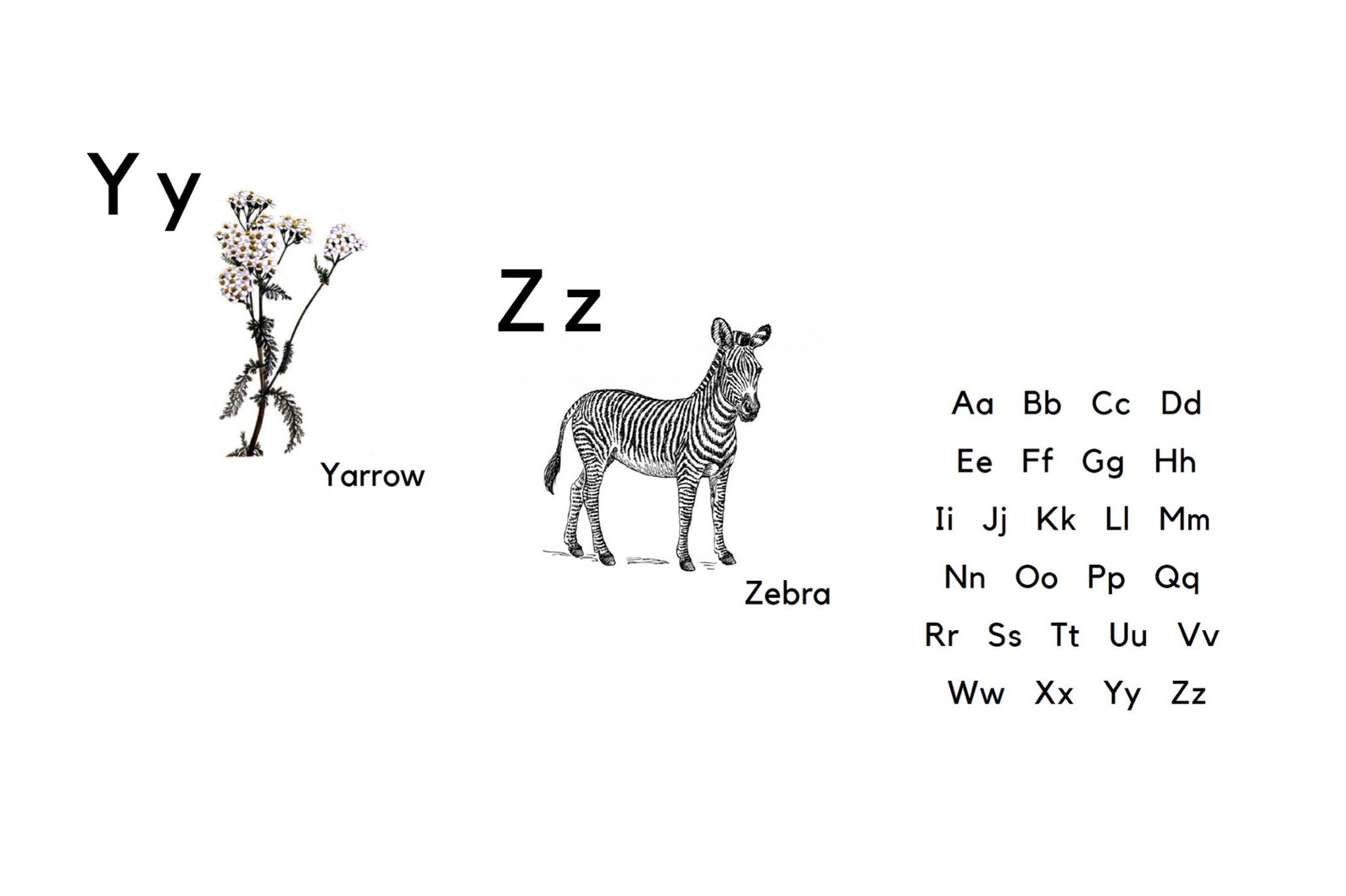 Nature Themed Alphabet Cards Charlotte Mason Alphabet Cards - Etsy UK