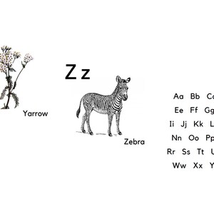 Nature Themed Alphabet Cards | Charlotte Mason Alphabet Cards ...