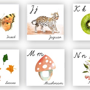 Montessori Cursive Nature Themed Alphabet Cards | Montessori Alphabet ...