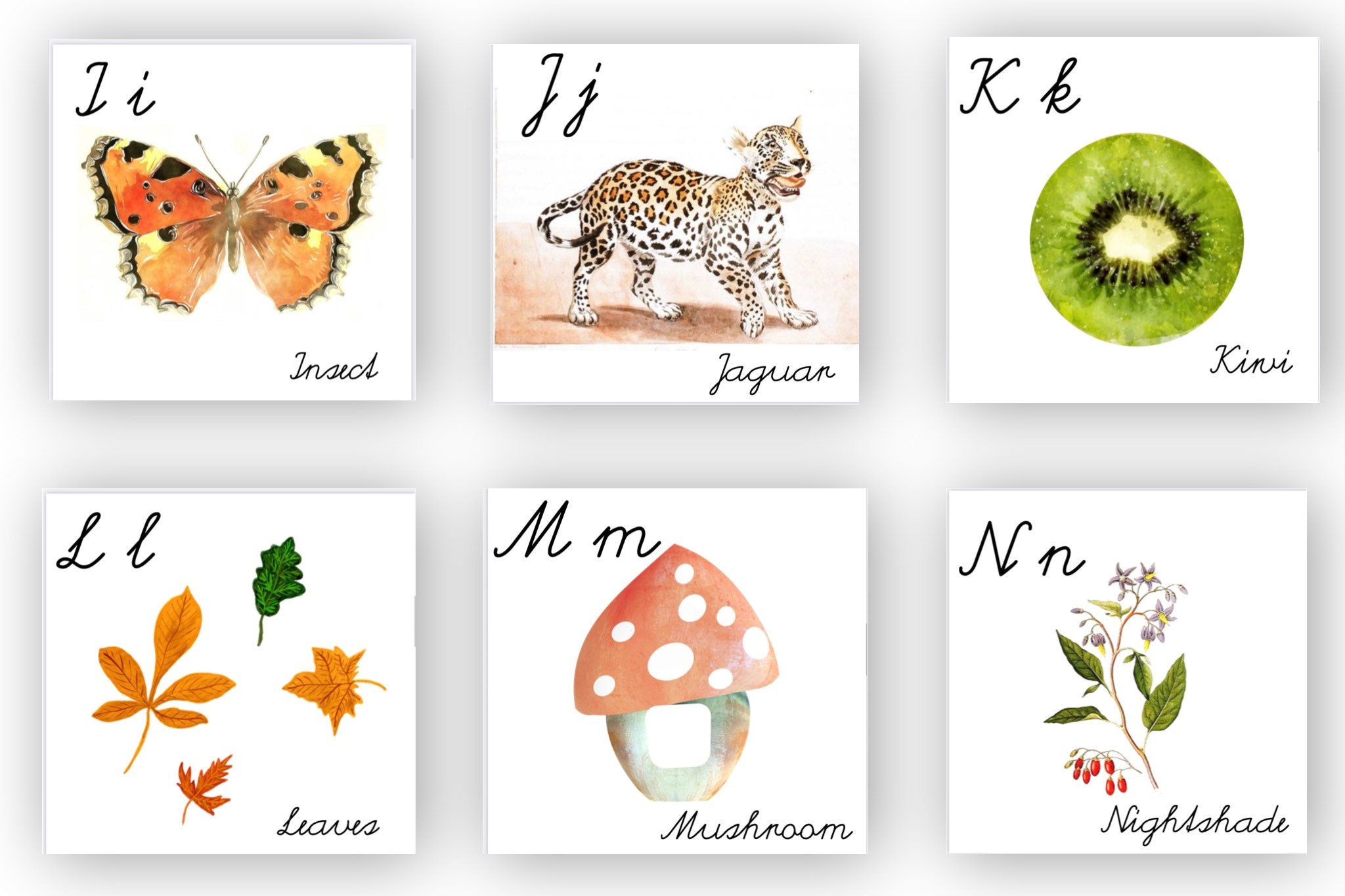 Montessori Cursive Nature Themed Alphabet Cards | Montessori Alphabet ...