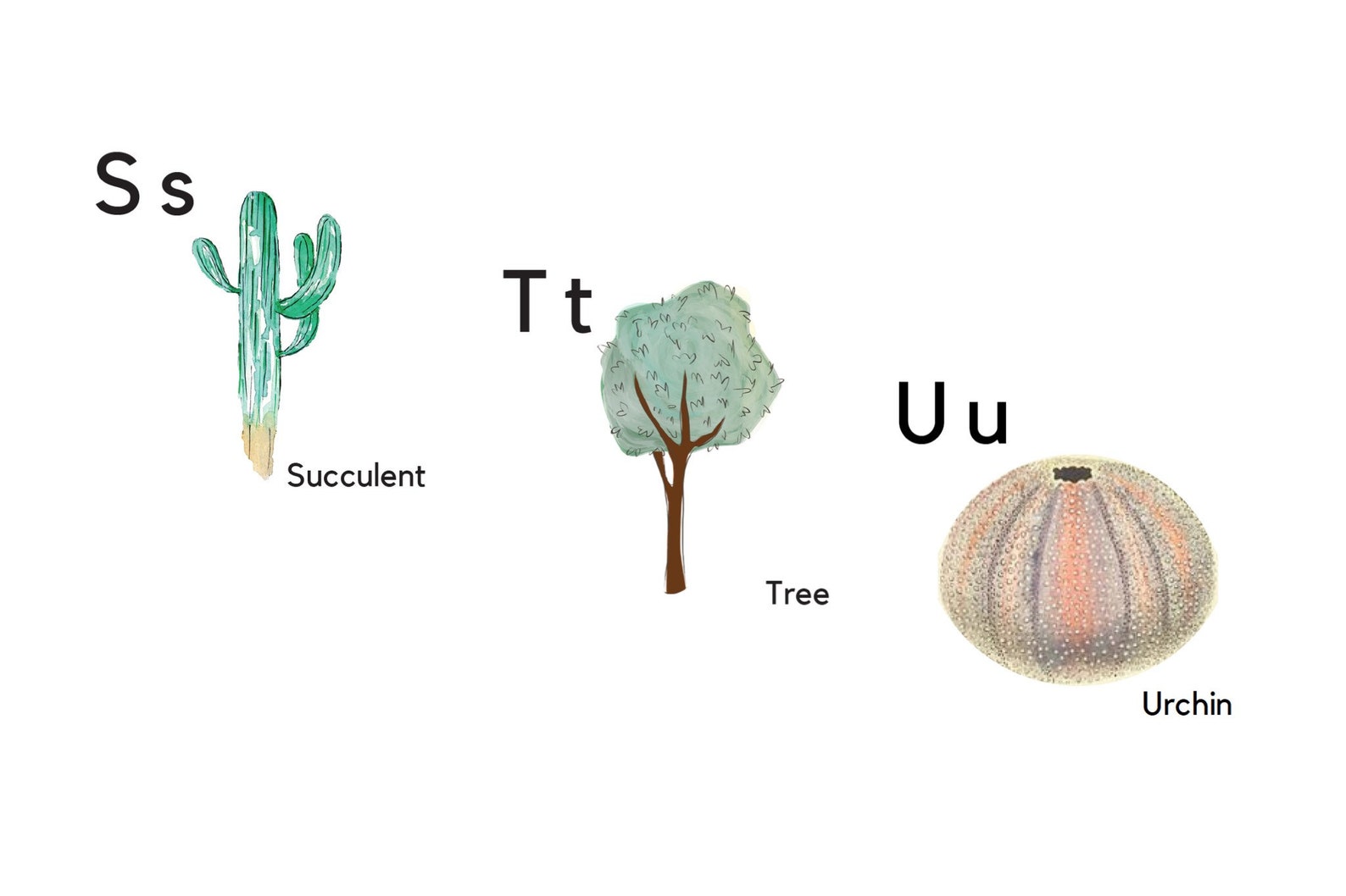 Nature Themed Alphabet Cards Charlotte Mason Alphabet Cards - Etsy UK