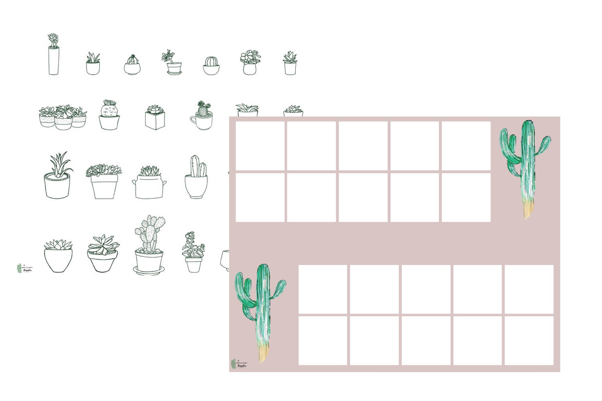 Cactus Unit Study | Cactus Themed Activities | Printable Lesson Plans ...