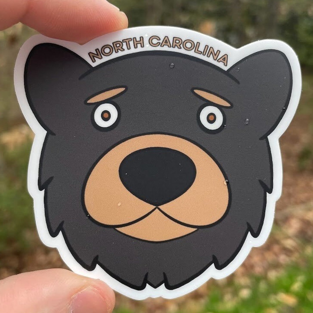 North Carolina Western North Carolina WNC Black Bear Appalachian Trail ...
