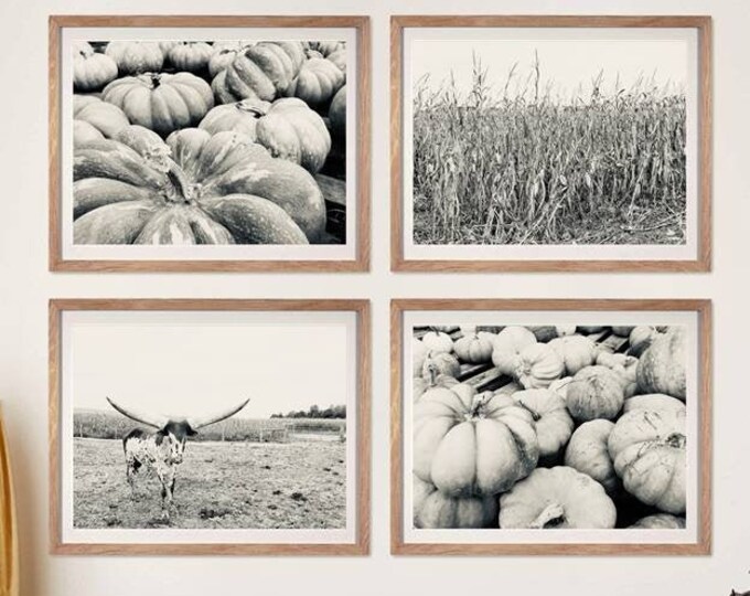 Set of 4 Autumn Photos Black and White Wall Art Pumpkin Cornstalks Set ...