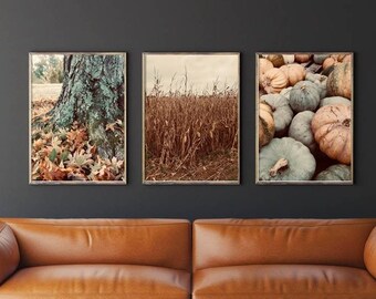 Gallery Wall Set of 3 Fall Photos Wall Art Prints Autumn | Etsy