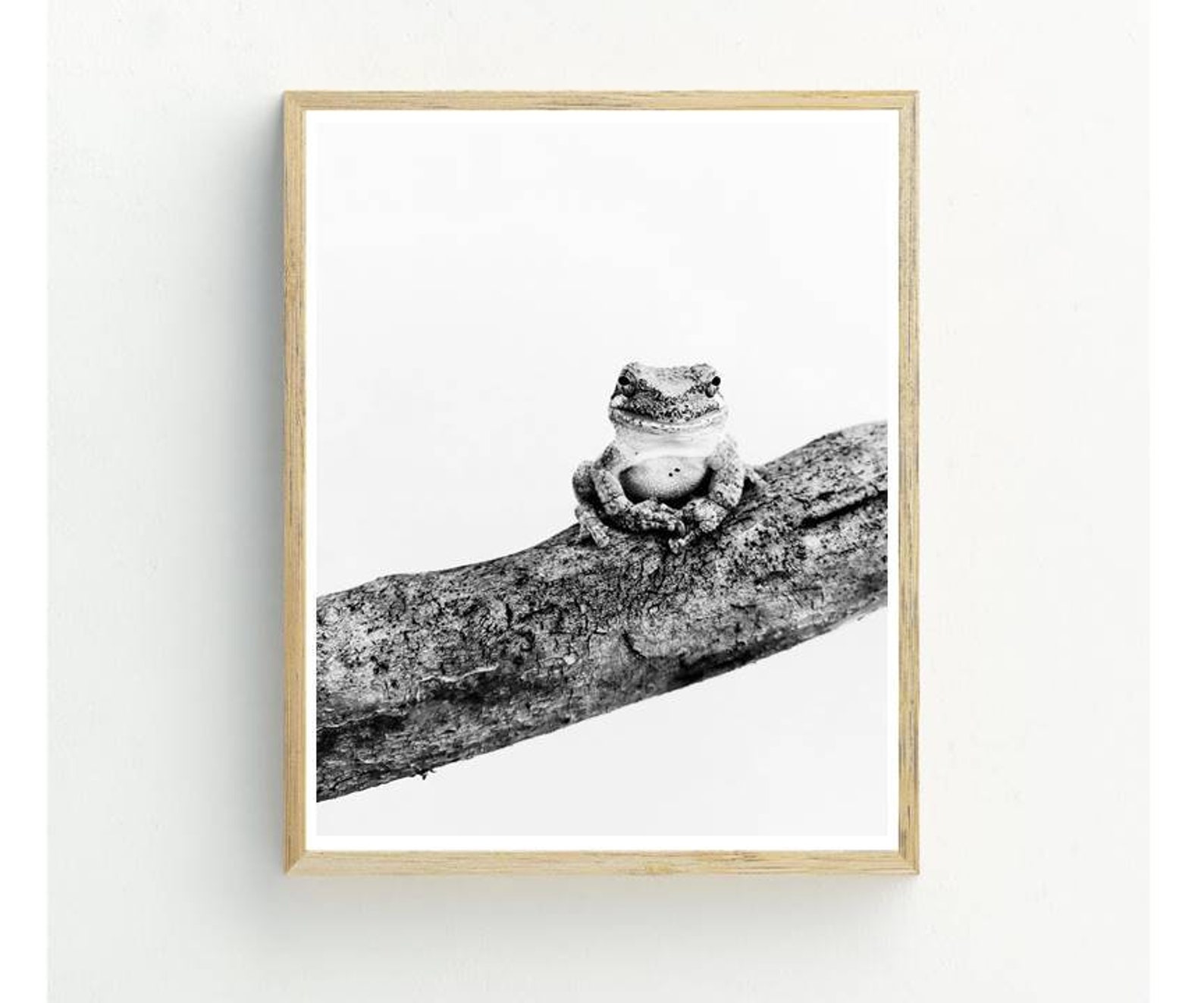 Tree Frog Print Black and White Nature Photograph Printable - Etsy