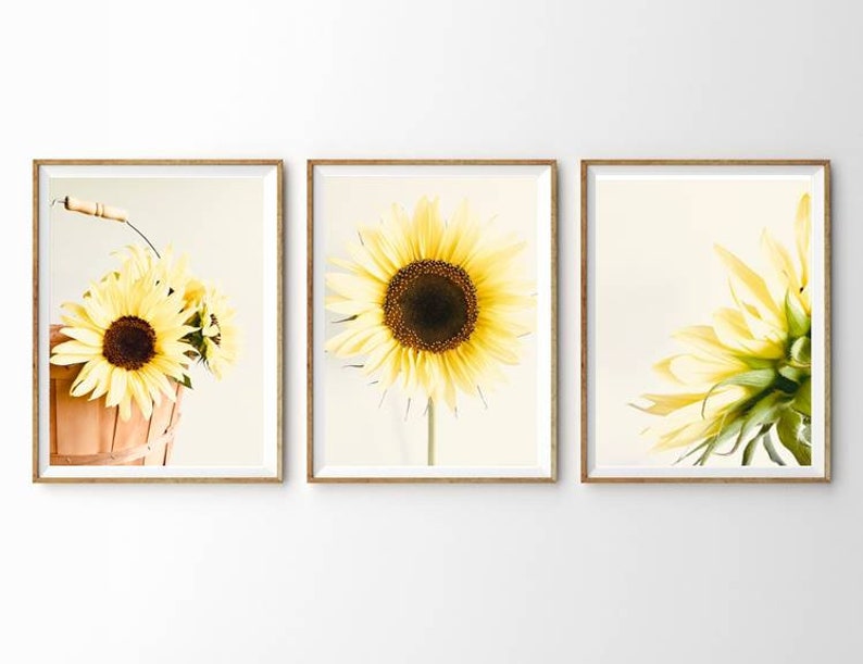 Set of 3 Sunflower Prints Yellow Nature Photo Ivory Brown | Etsy