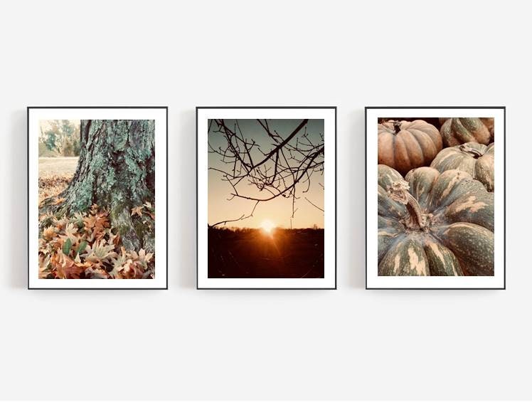 Gallery Wall Set of 3 Fall Photos Wall Art Prints Autumn | Etsy