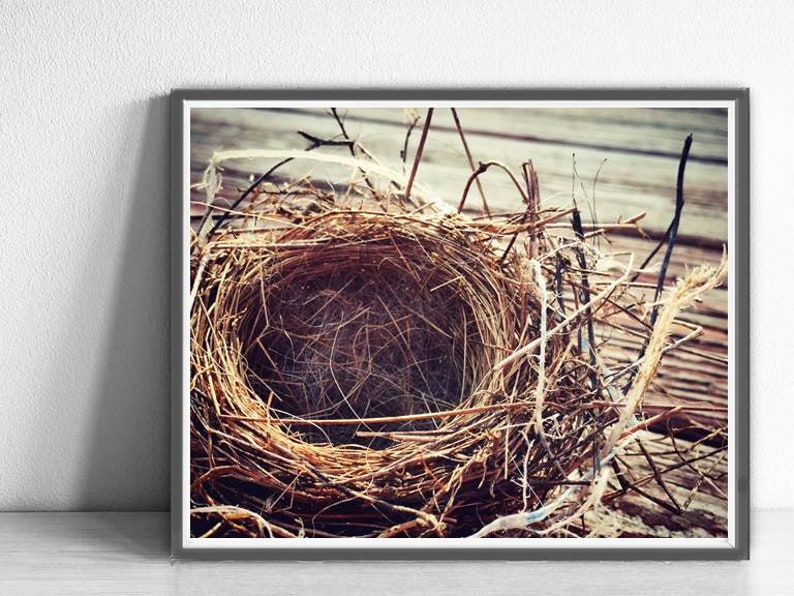 Bird Nest Photograph Print Printable Instant Download Rustic - Etsy