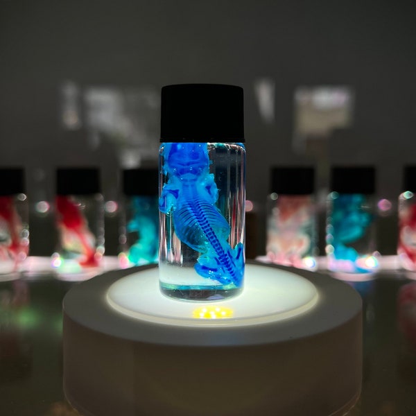 Diaphonization - Etsy