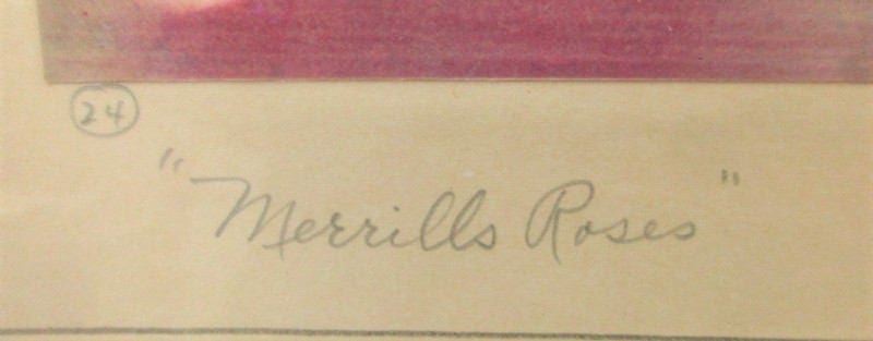 Vintage Photograph Signed Photograph by Renown Photographer Frank ...