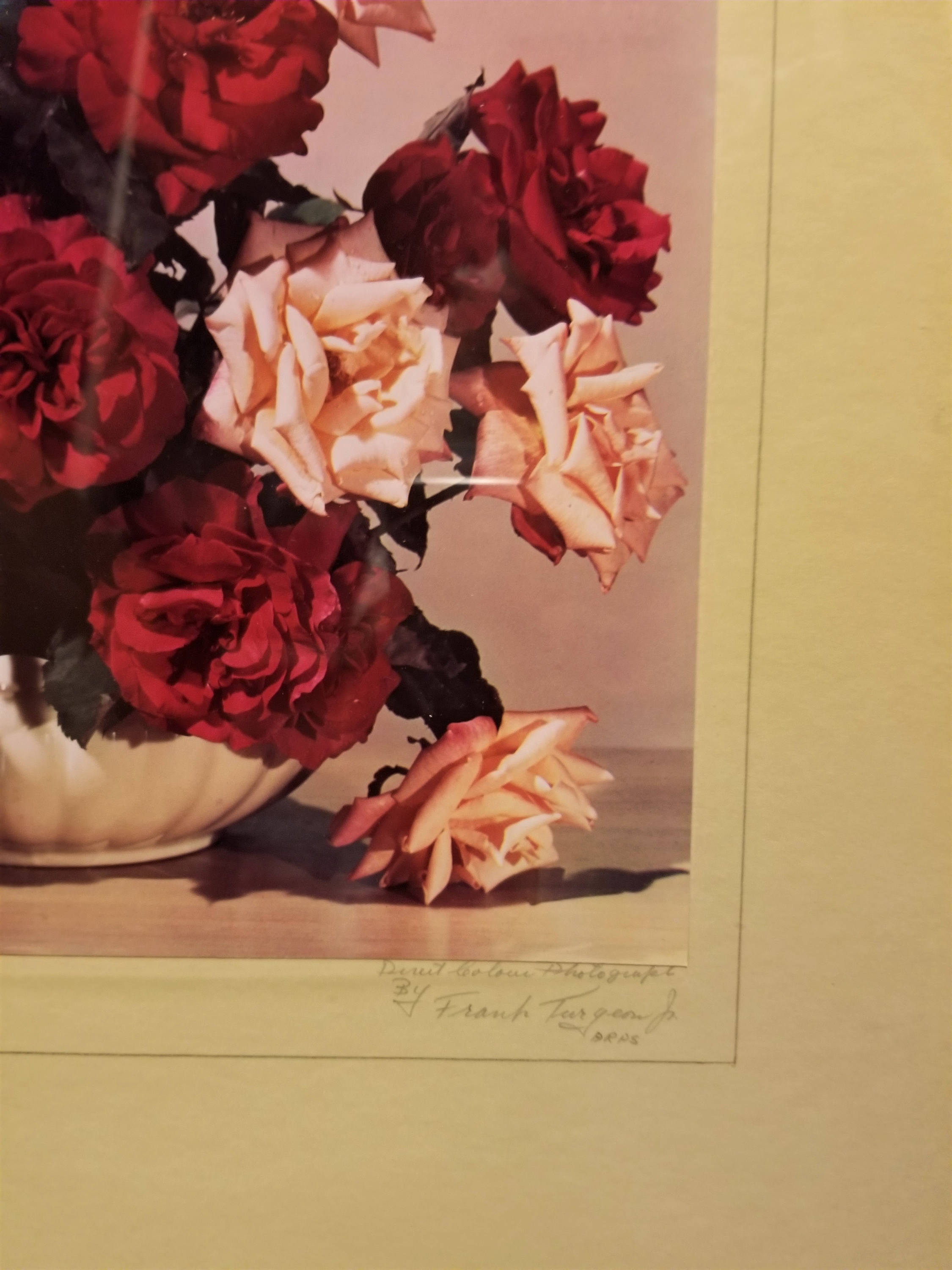 Vintage Photograph Signed Photograph by Renown Photographer Frank ...
