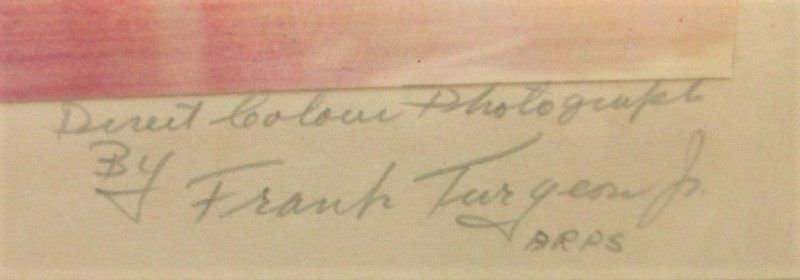 Vintage Photograph Signed Photograph by Renown Photographer Frank ...