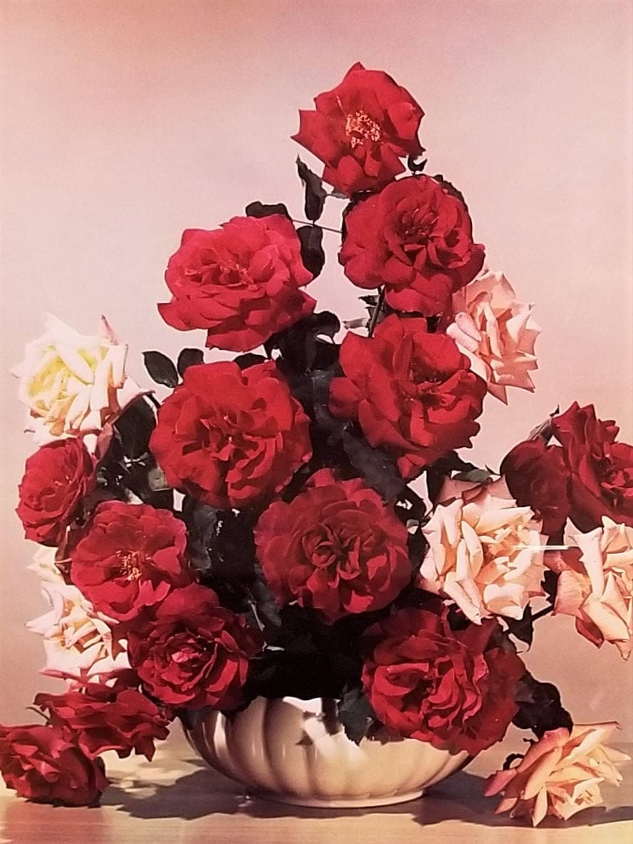 Vintage Photograph Signed Photograph by Renown Photographer Frank ...