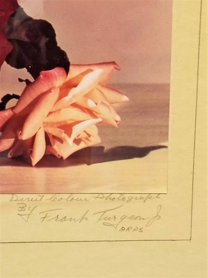 Vintage Photograph Signed Photograph by Renown Photographer Frank ...