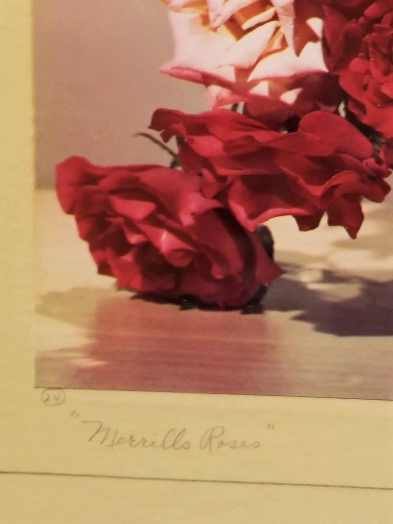 Vintage Photograph Signed Photograph by Renown Photographer Frank ...