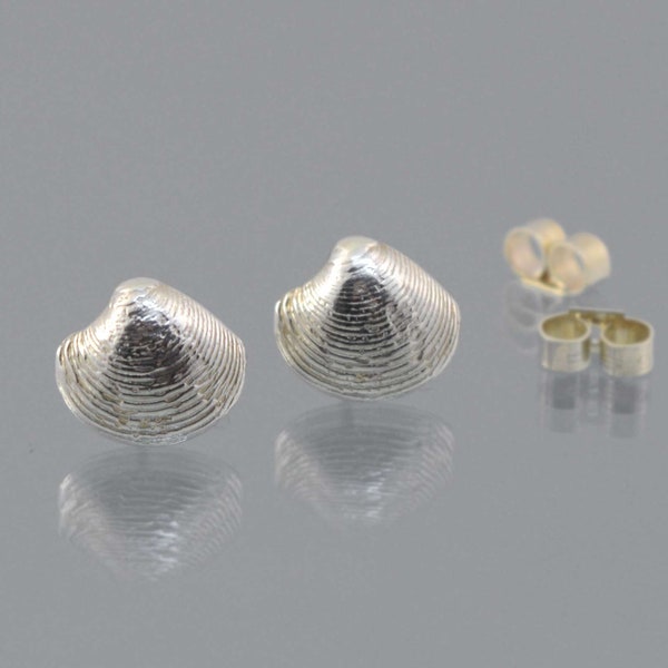 Shell Earrings - Etsy