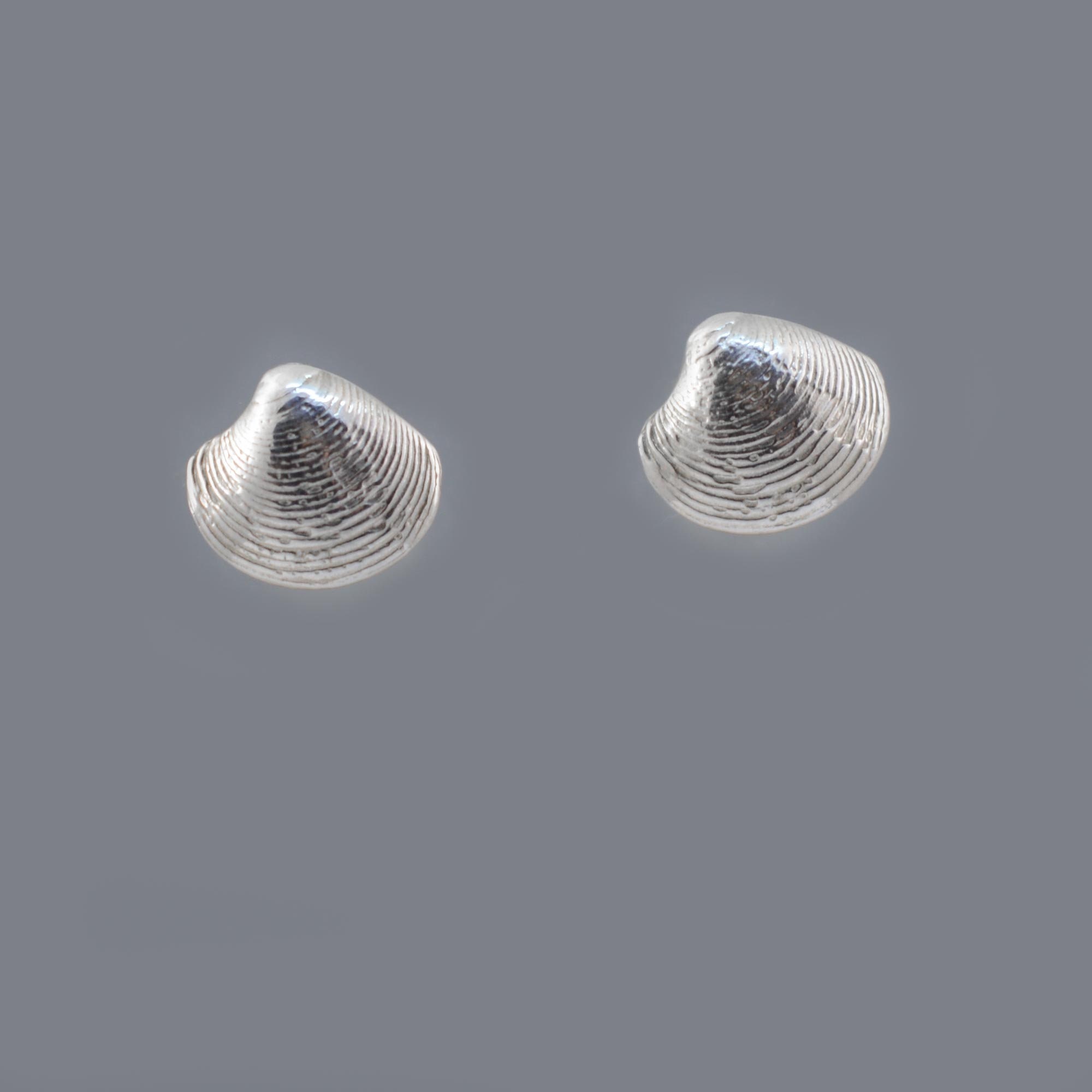 Shell Stud Earrings in 925 Sterling Silver - Etsy