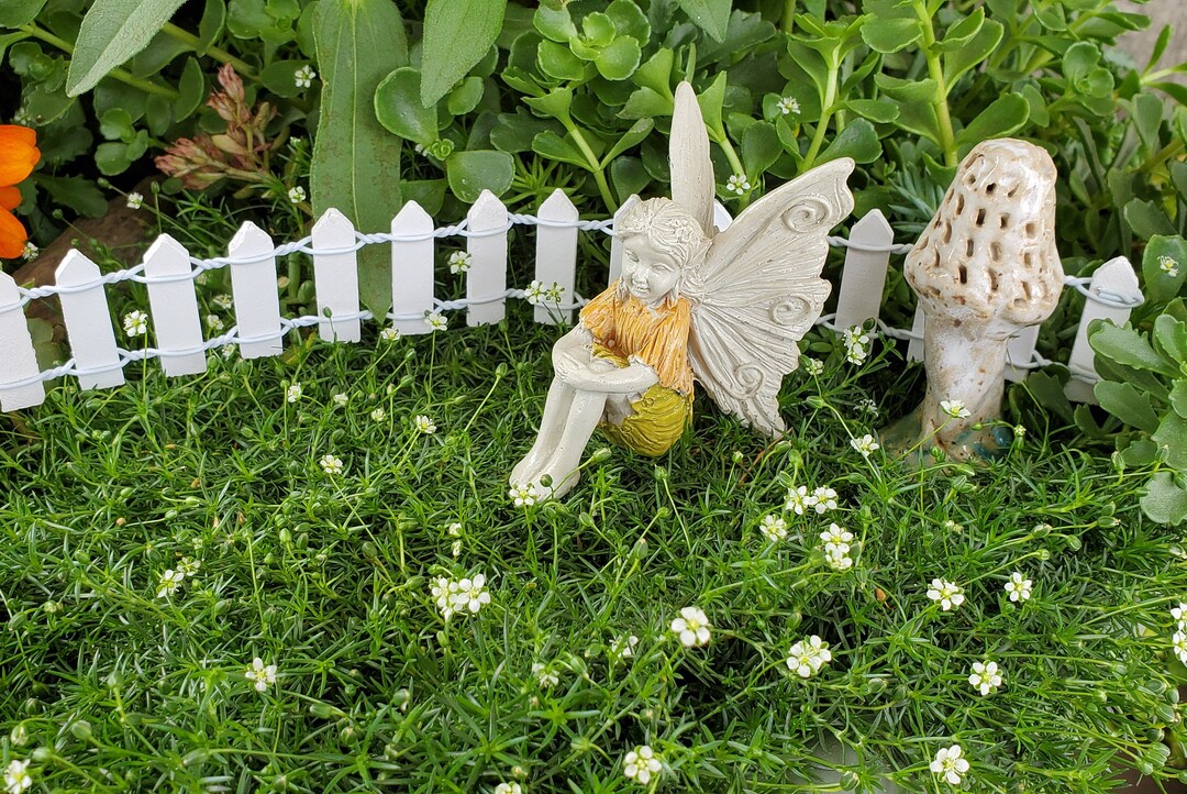 Fairy Garden Fence, Mini White Picket Fence, Miniatures, Fairy ...