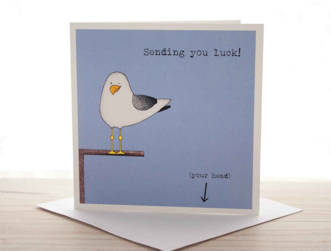Good Luck Card Pooping Seagull 'sending You Luck' Greeting Card - Etsy