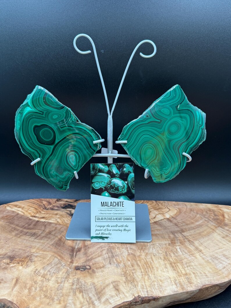 Malachite Butterfly Wings With Custom Stand Transformation • Protection ...