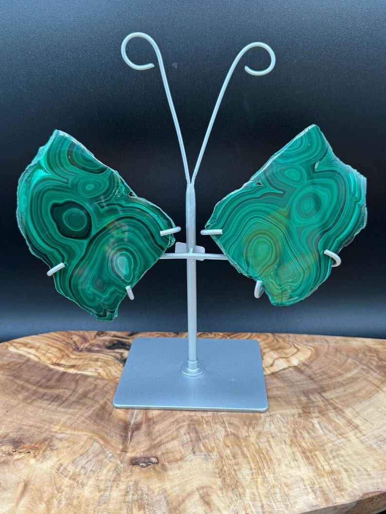 Malachite Butterfly Wings With Custom Stand Transformation • Protection ...