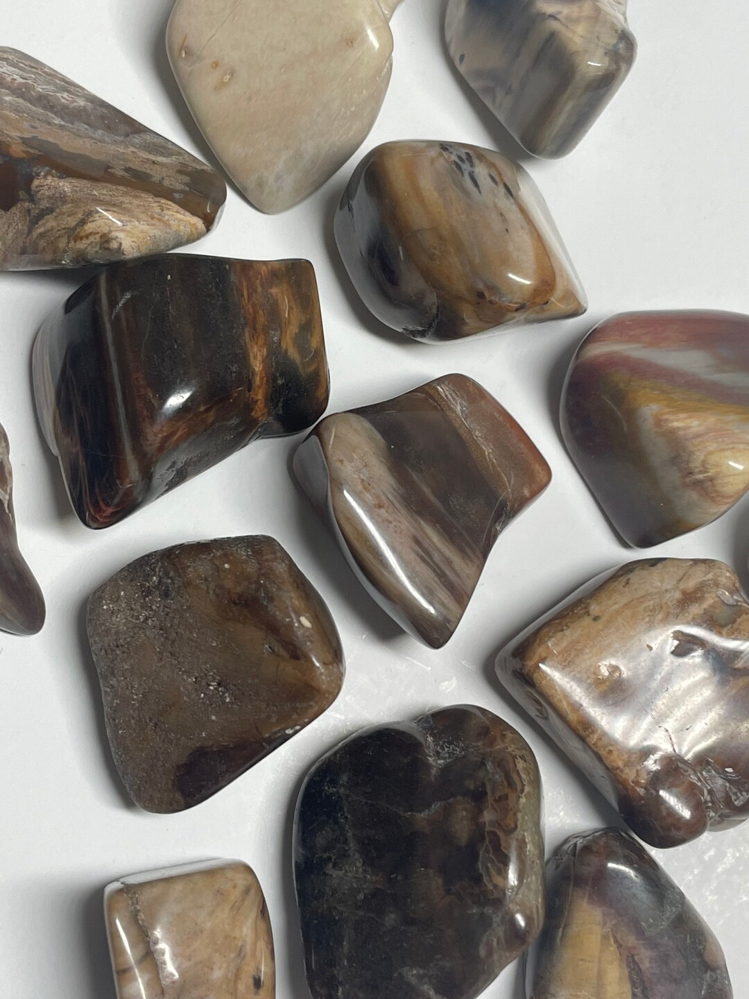 Set of 3 Petrified Wood Tumbled Earth Magic H7Y With Crystal Info Card ...