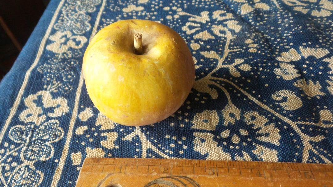 Antique STONE FRUIT APPLE, Primitive, Farmhouse, Country, 724-14 - Etsy