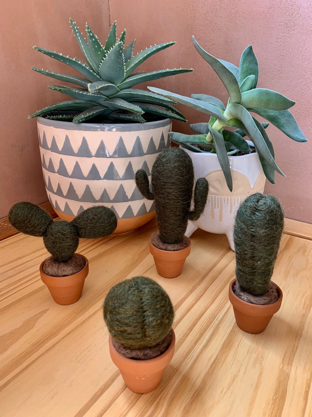 Needle Felted Cactus - Saguaro Cactus - Pincushion Cactus - Prickly ...