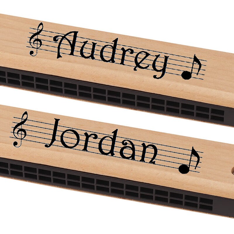 Harmonica Case - Etsy