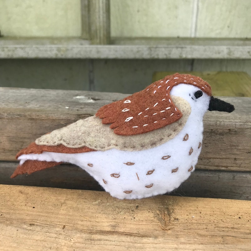 Shore Birds - Etsy