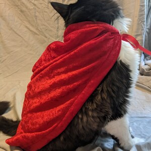 Cat Cape With Hood - Etsy