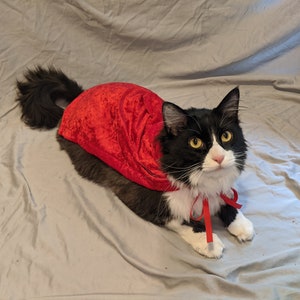Cat Cape With Hood - Etsy