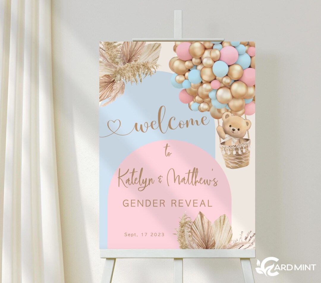 Editable Welcome Teddy Bear Party Sign, Pink & Blue Hot Air Balloon ...