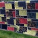 Double Vision Quilt Pattern - Etsy