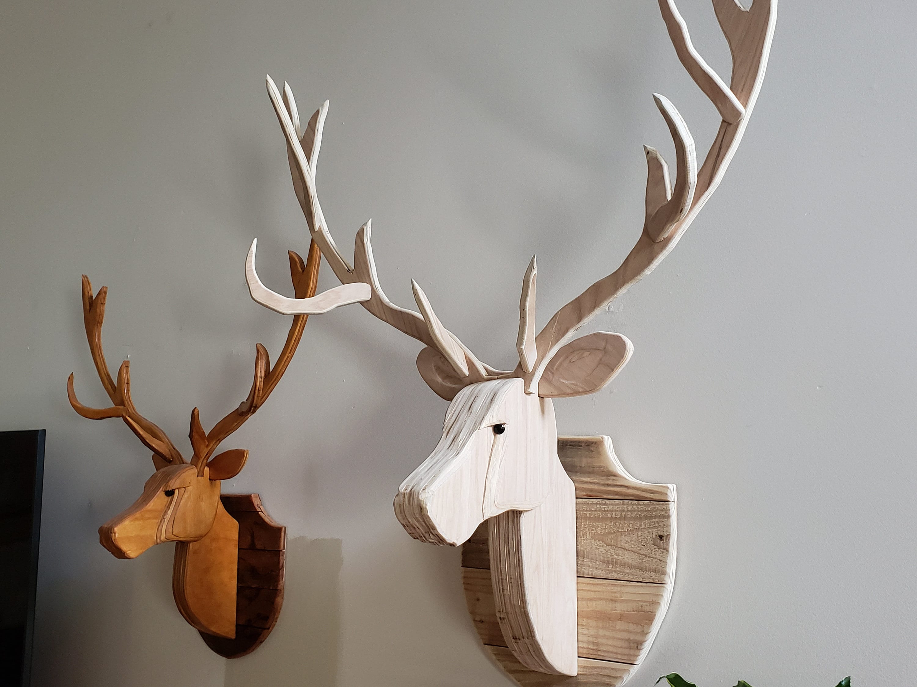 Deer/buck Head XL - Wall Mounted - Etsy