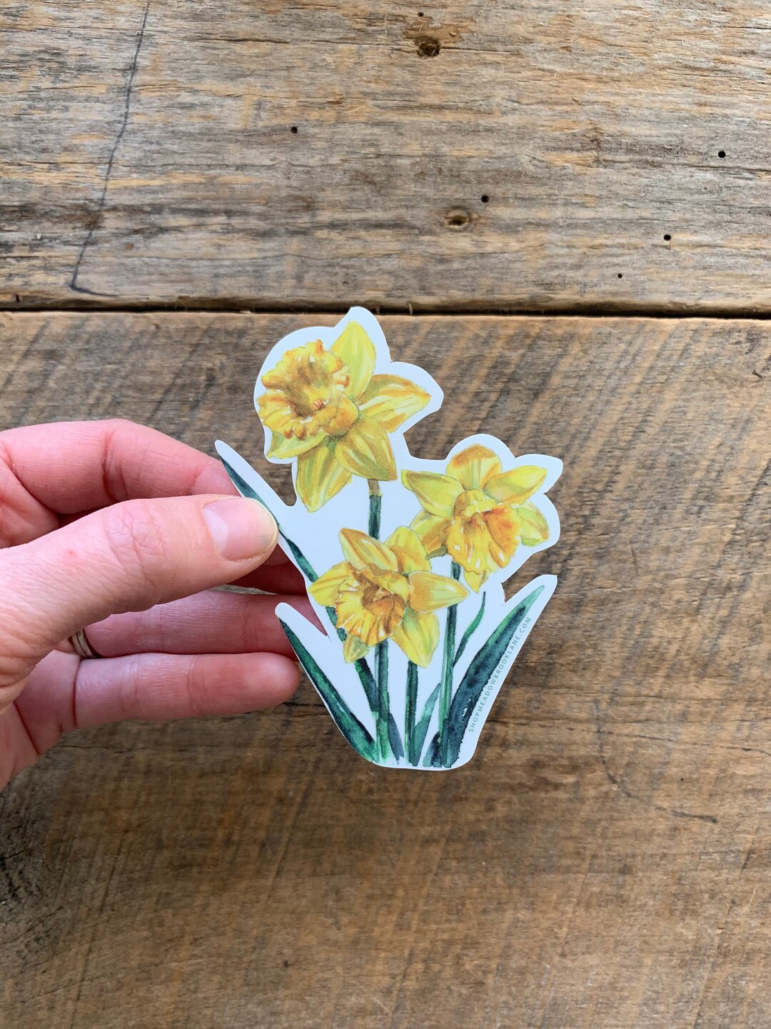Daffodil Flower Vinyl Sticker / March Birthday / Yellow Flower Sticker ...