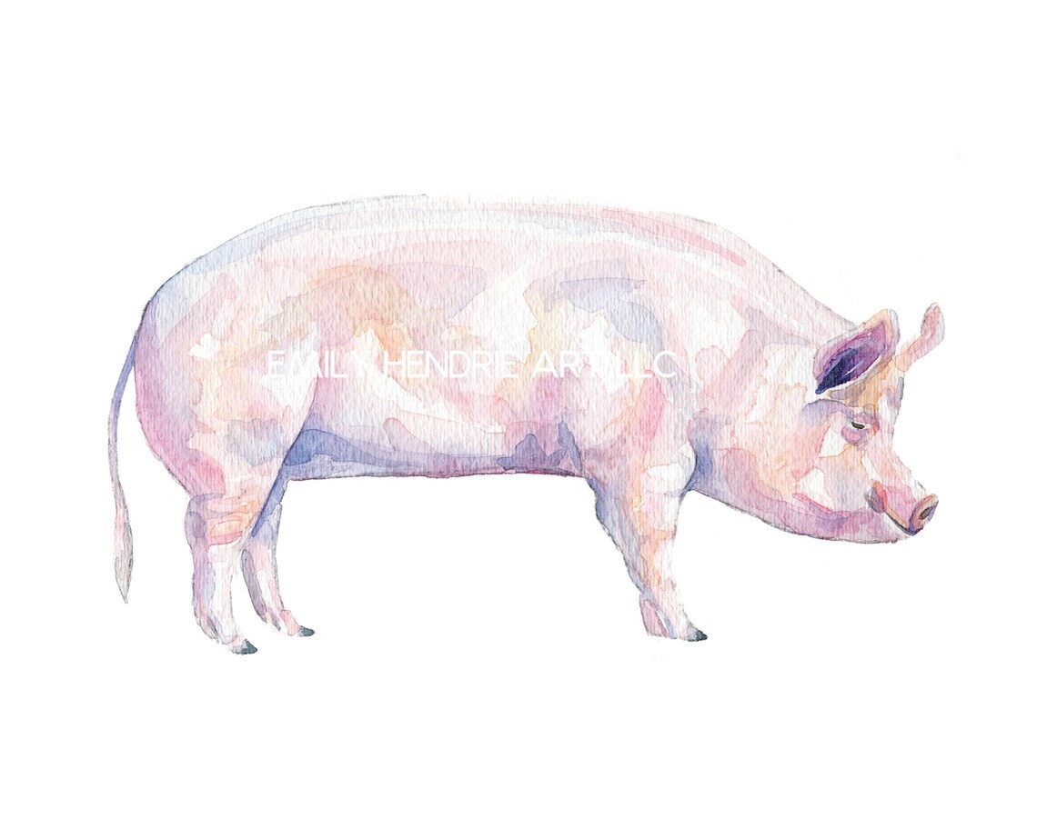 Pig Watercolor Print / Pig Watercolor Art Print / Farmhouse | Etsy