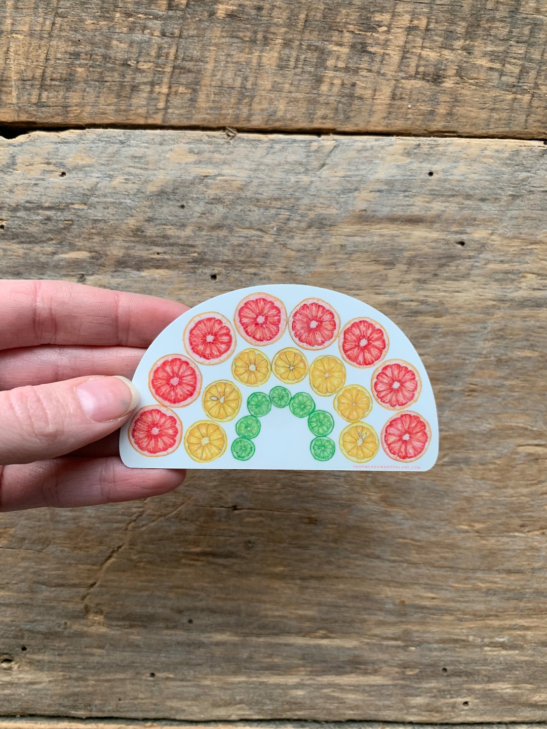 Citrus Rainbow Vinyl Sticker / Rainbow Sticker / Citrus Sticker / Lemon ...