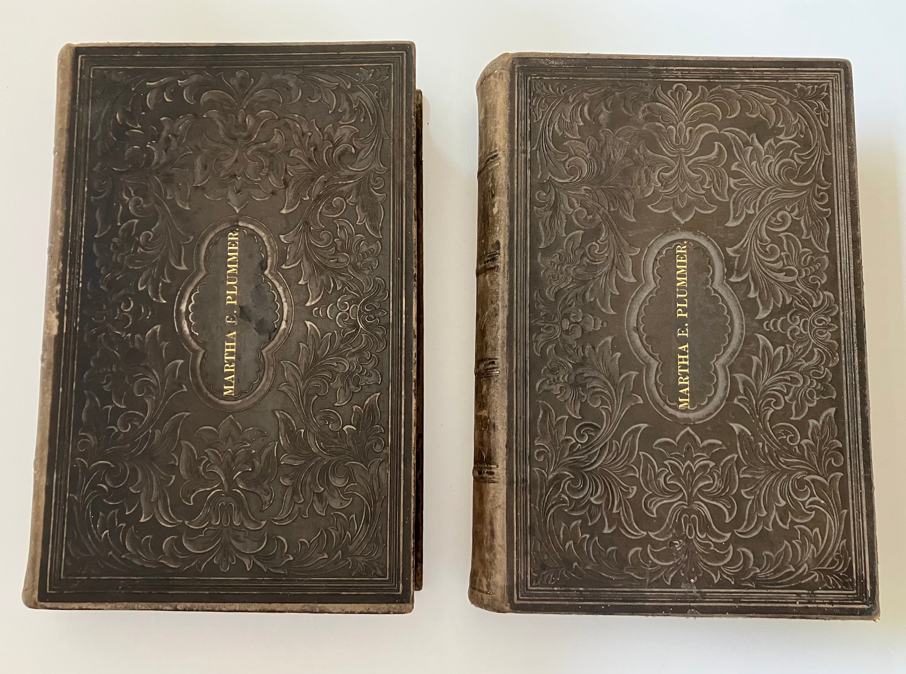 1860 the Cottage Bible Old & New Testament Polyglott STUNNING ...