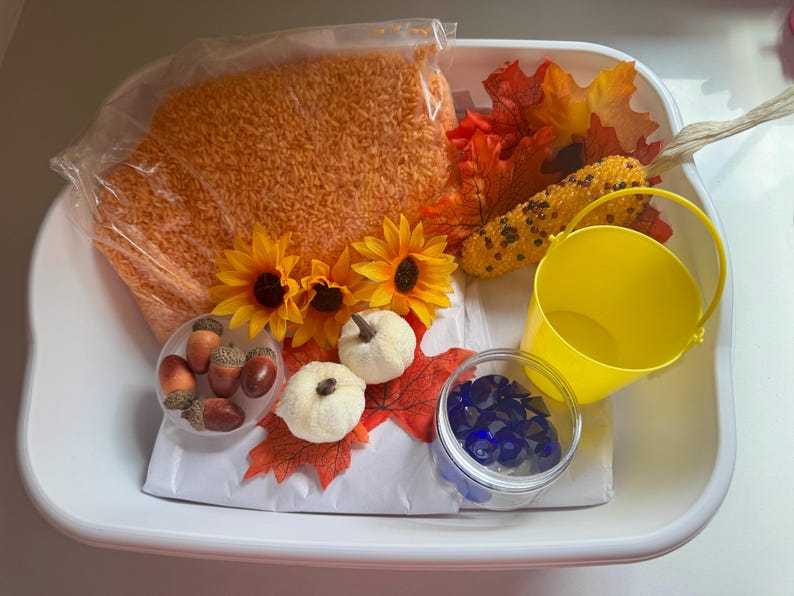 Fall Sensory Bin: Montessori Autumn Activity Kit for Toddlers - Etsy