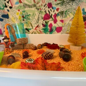 Fall Harvest Sensory Bin – Autumn Play Activity for Toddlers ...