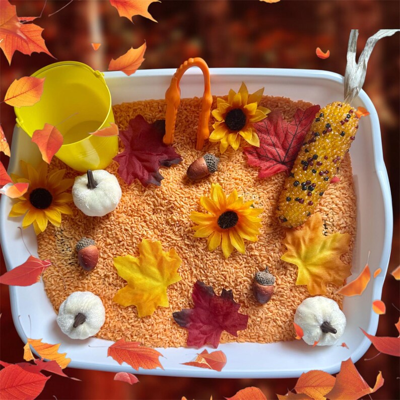 Fall Sensory Bin: Montessori Autumn Activity Kit for Toddlers - Etsy