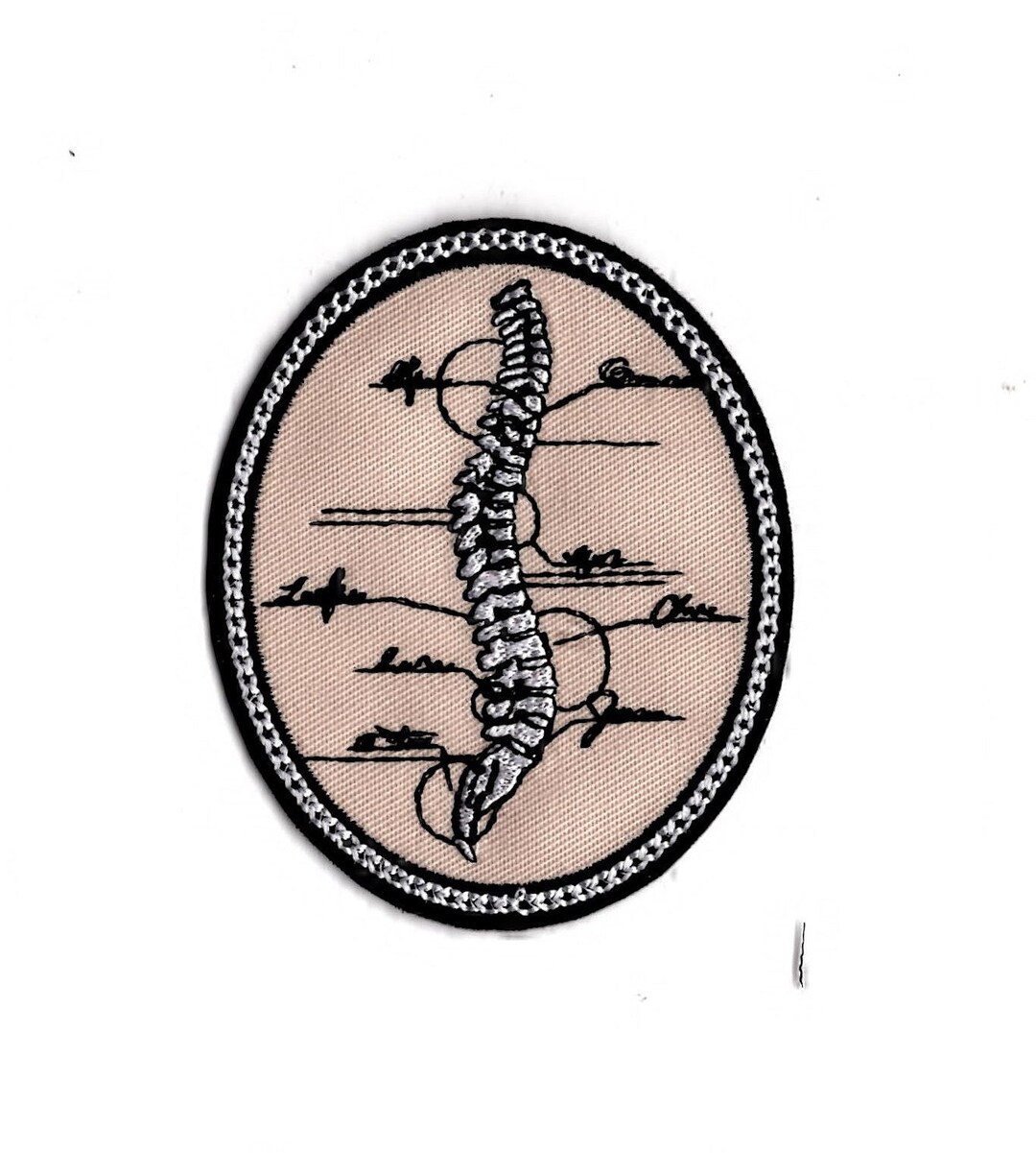 Skeleton Spine Embroidered Patch: Anatomy Iron-on Badge - Etsy