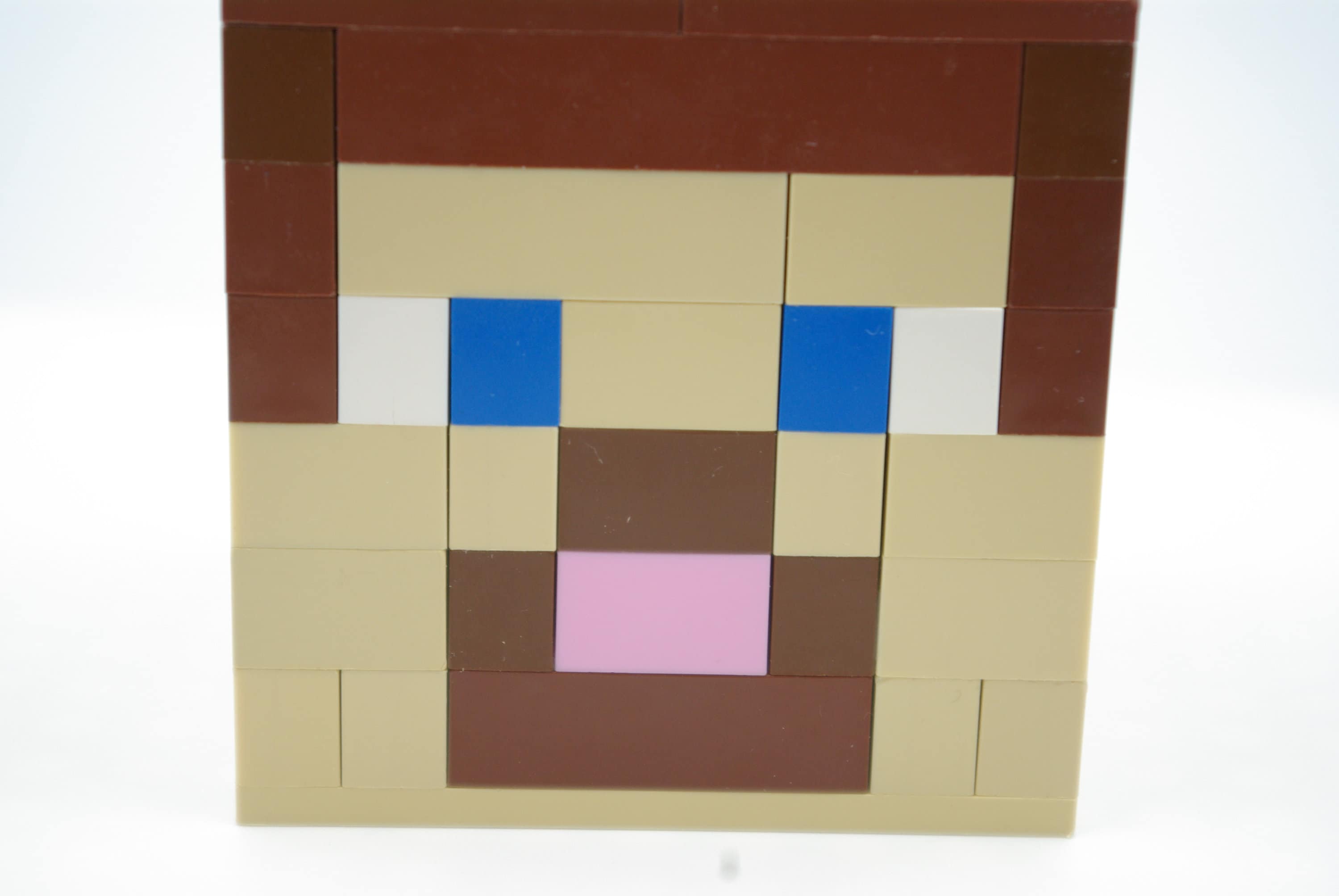 Minecraft Papercraft Steve Head Costume