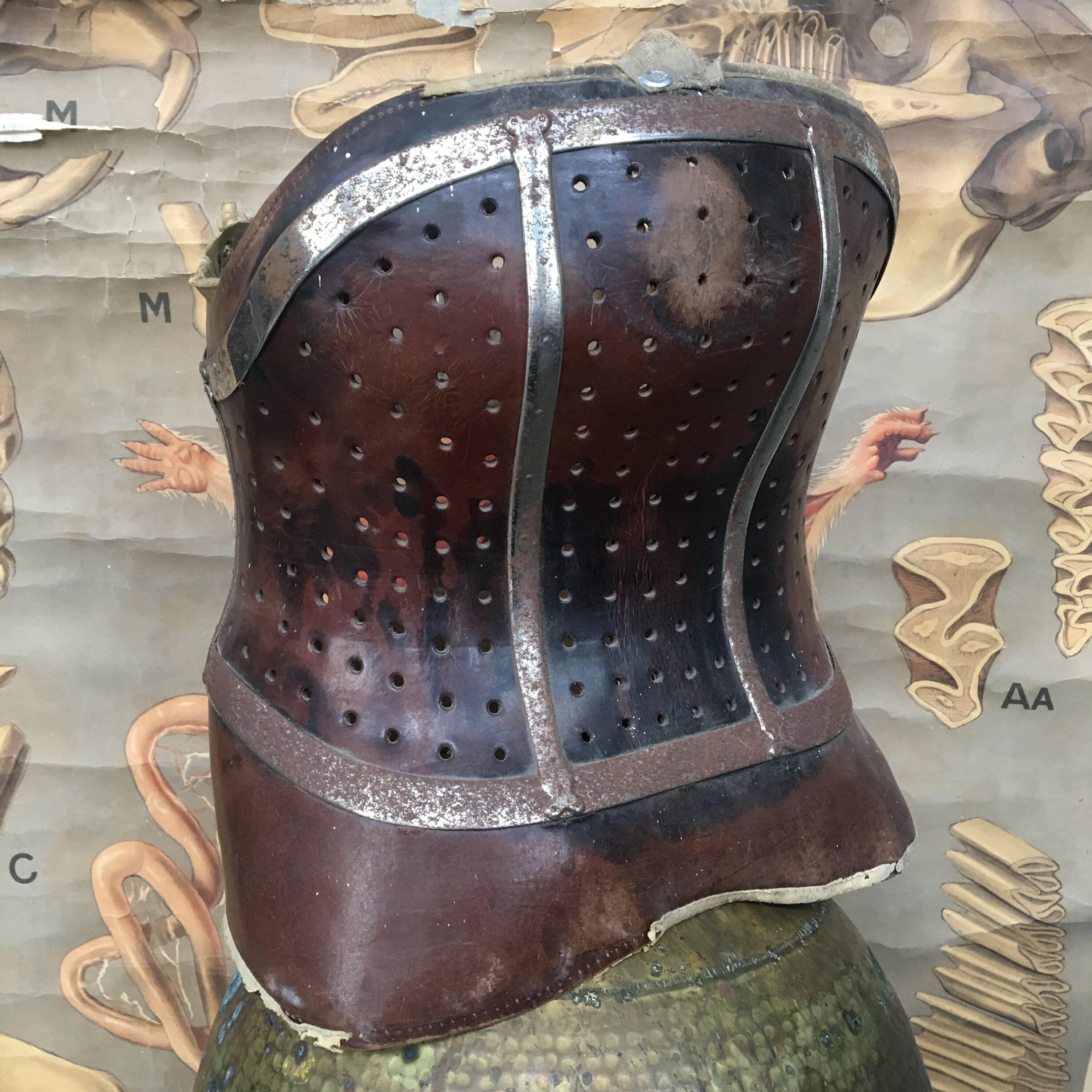 Antique 1800s Medical Leather Orthopaedic Corset Corrective Posture ...